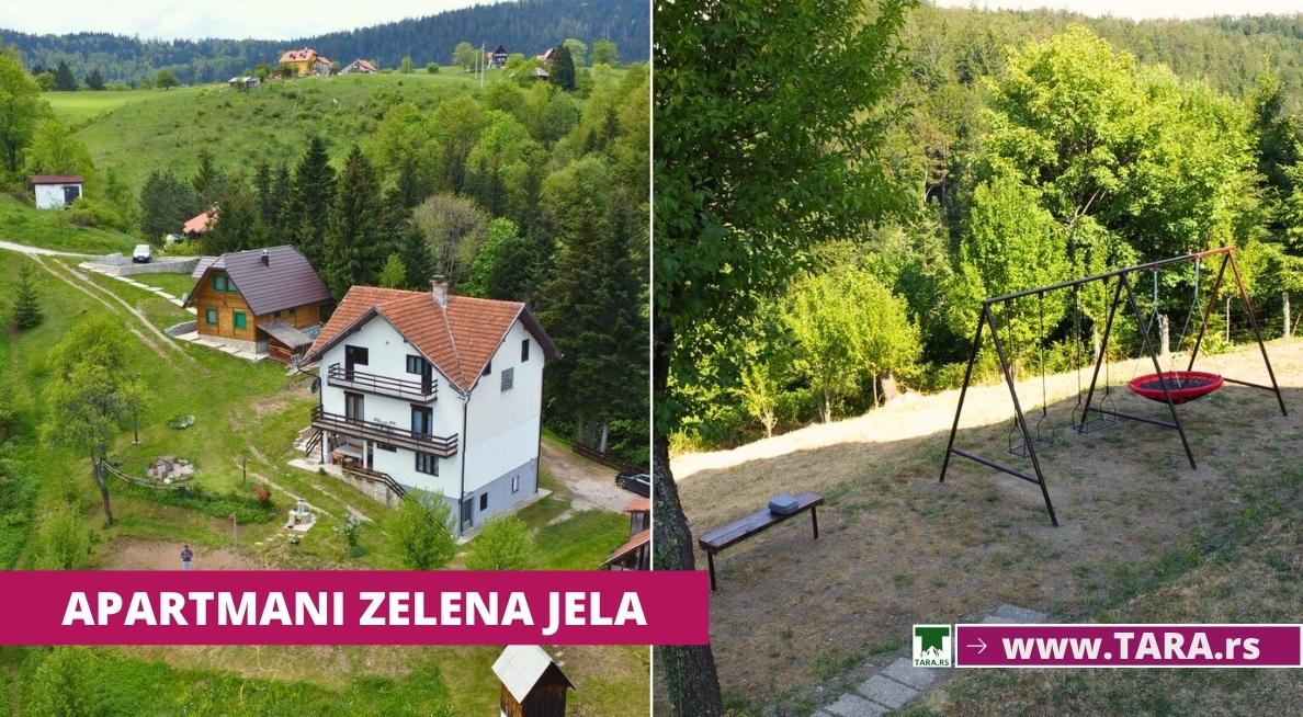 Apartmani ZELENA JELA - SMEŠTAJ NA TARI - Vikendice, apartmani, brvnare ...