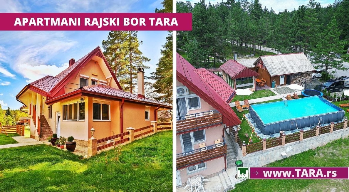 Apartmani RAJSKI BOR TARA - SMEŠTAJ NA TARI - Vikendice, apartmani ...